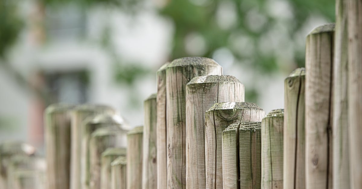 5 Must-Have Accessories for Your HOFT Privacy Fence Kit – The Ultimate ...