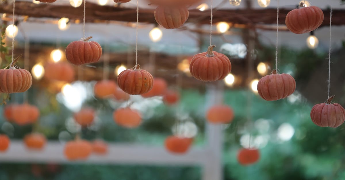 How to Create Cozy Evenings Outdoors: String Light Design Ideas for Ca ...